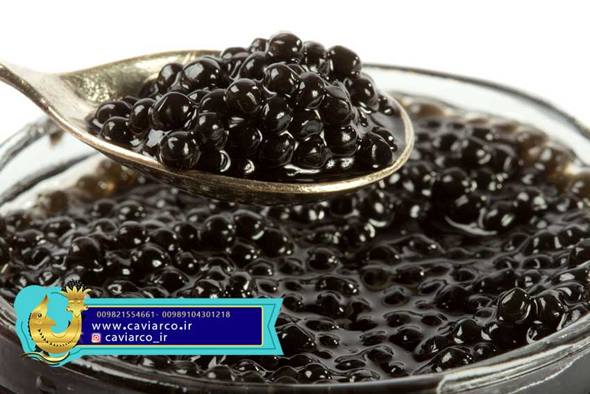 What is an artificial caviar? | iranian caviar