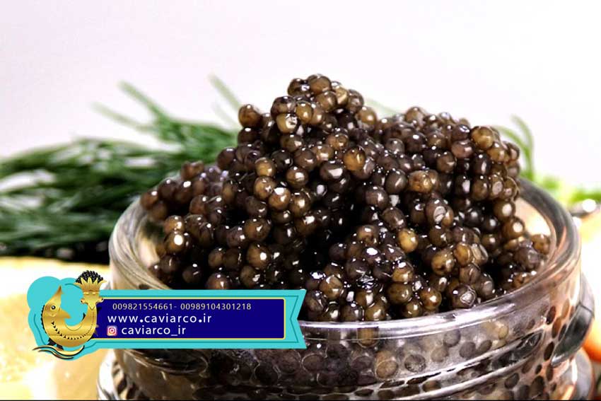 What is an artificial caviar? | iranian caviar