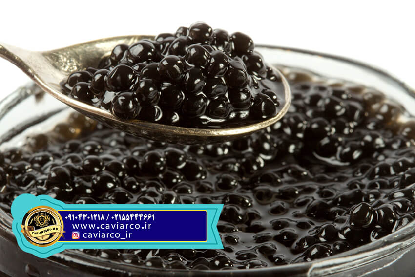 خاویار مصنوعی چیست؟ | خاویار ایران